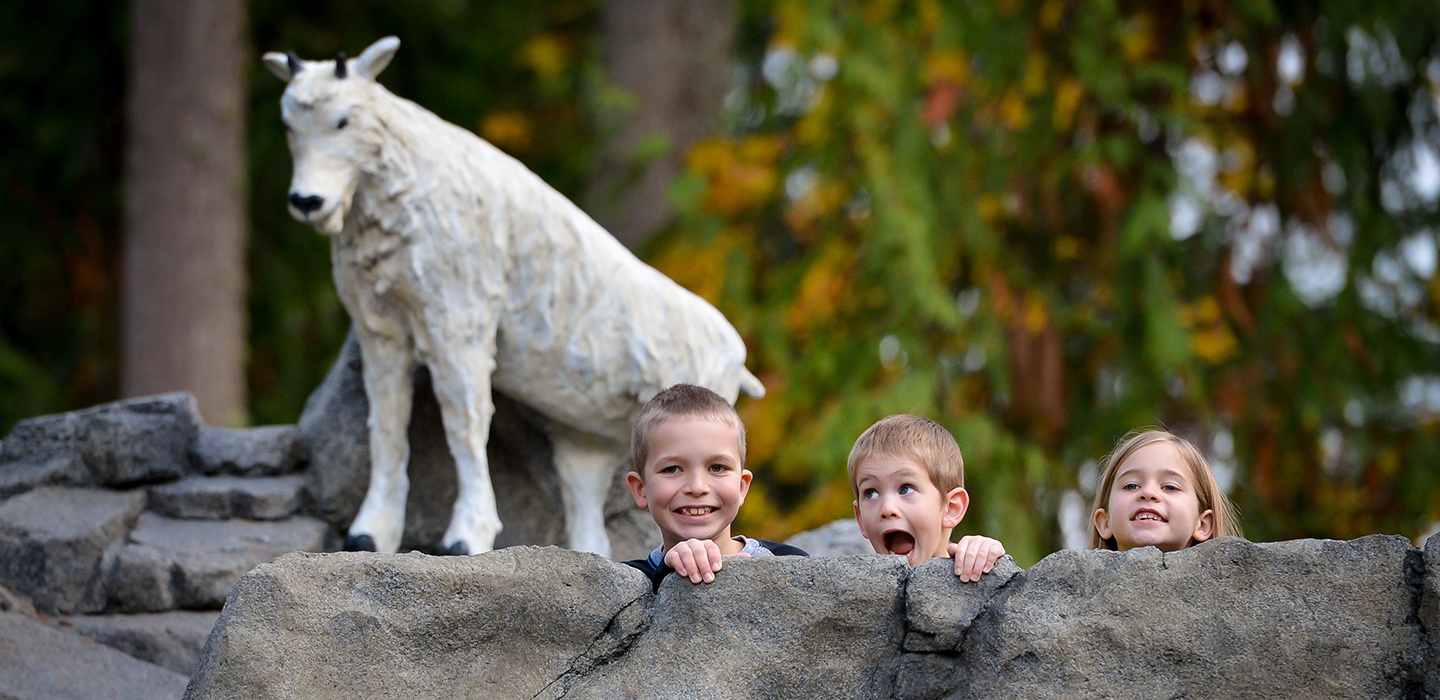 10 Ways to Play Wild at Northwest Trek - Northwest Trek